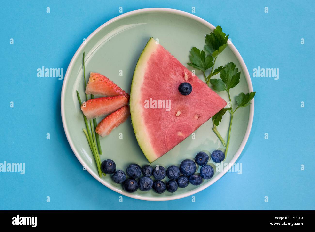 colorful fish animal made from watermeloon and blueberries fruit ...
