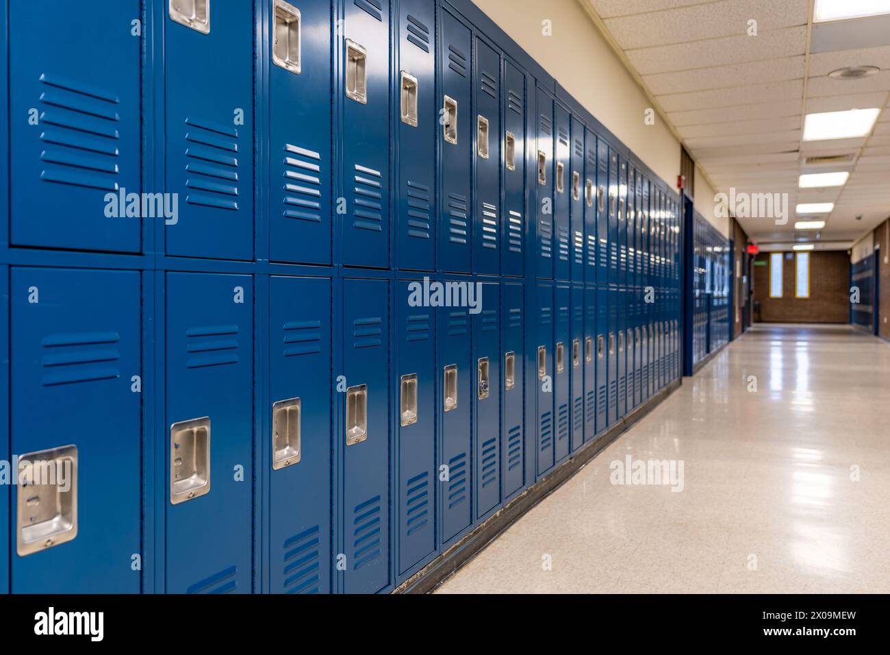 Empty school hallway with blue metal student lockers Stock Photo - Alamy