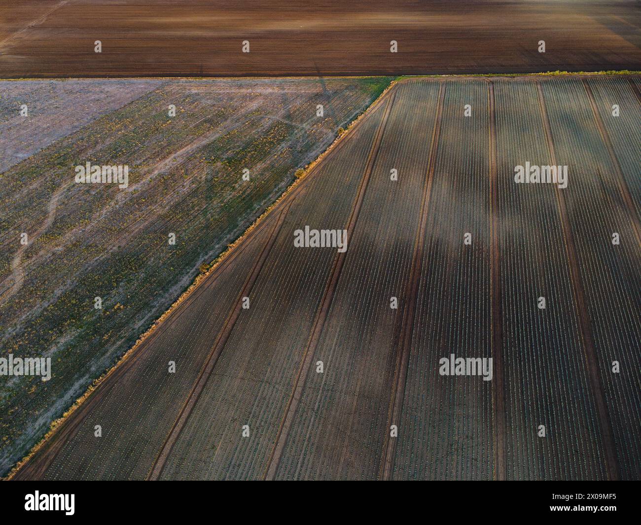 Patchwork plots hi-res stock photography and images - Alamy