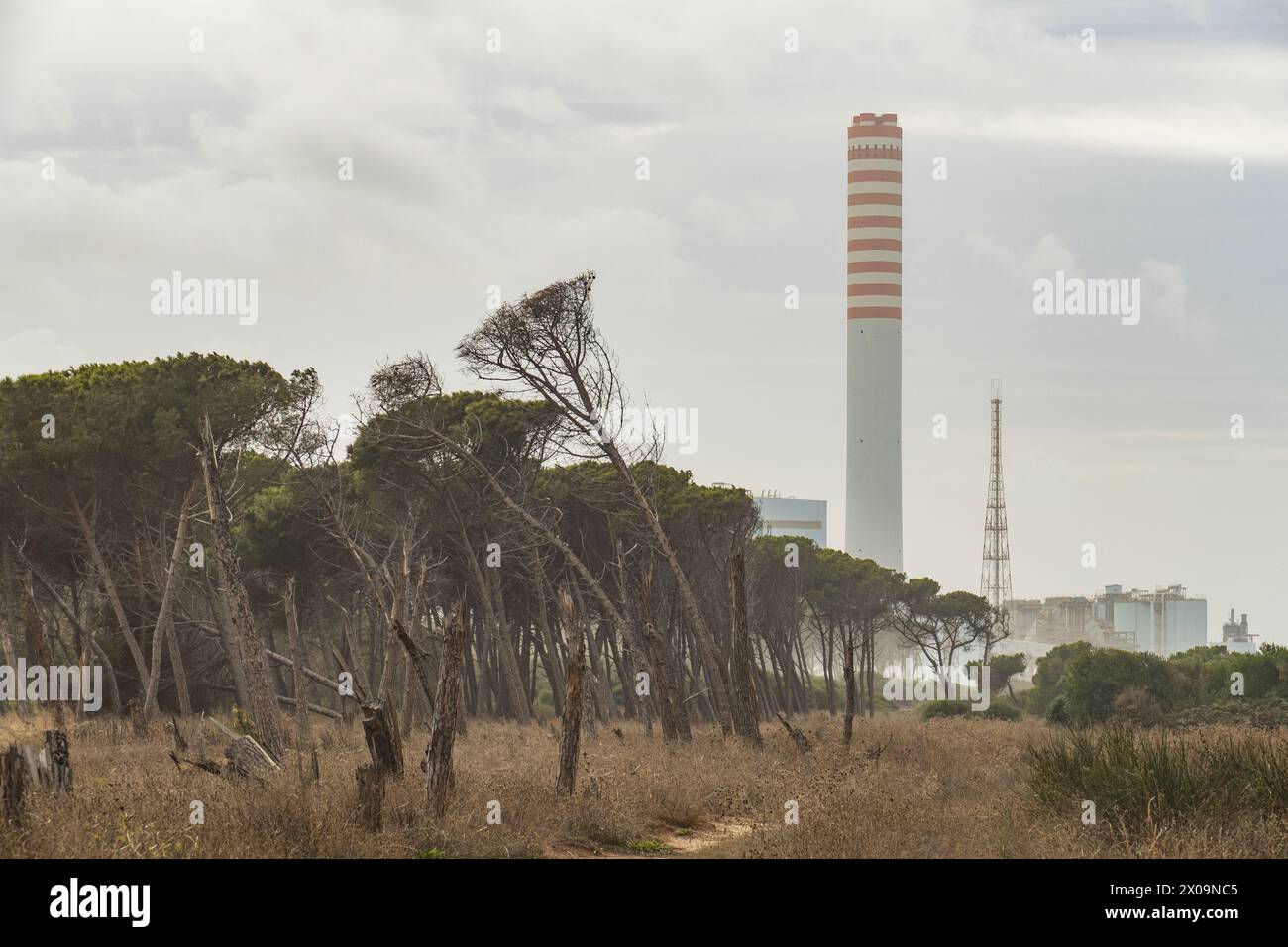 The “Torrevaldaliga” thermoelectric power plant and the "La Frasca ...