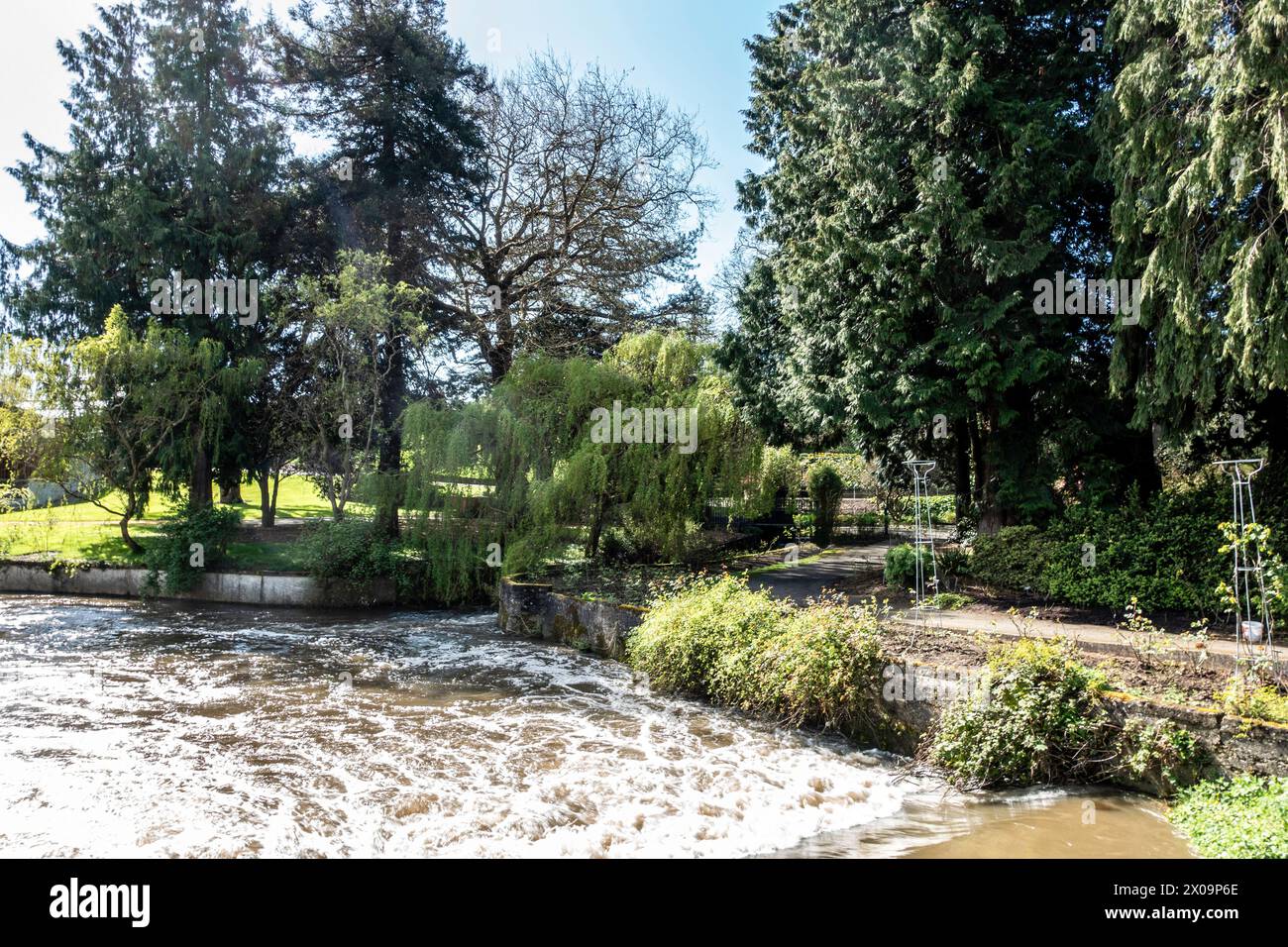 The Tolka River flowing through The Botanic gardens in Dublin, Ireland ...