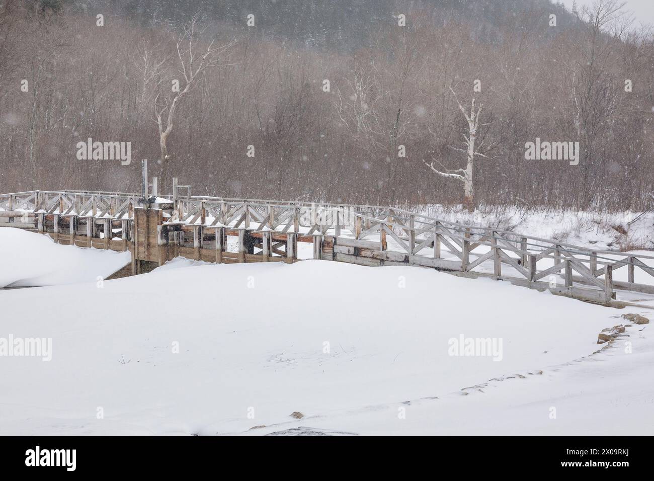 Crawford Notch State Park in the White Mountains, New Hampshire during ...
