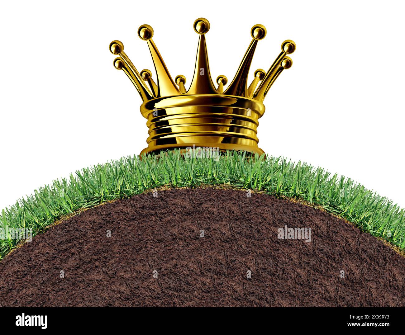 Best Lawn Award and excellence in Healthy grass with winning lawncare ...