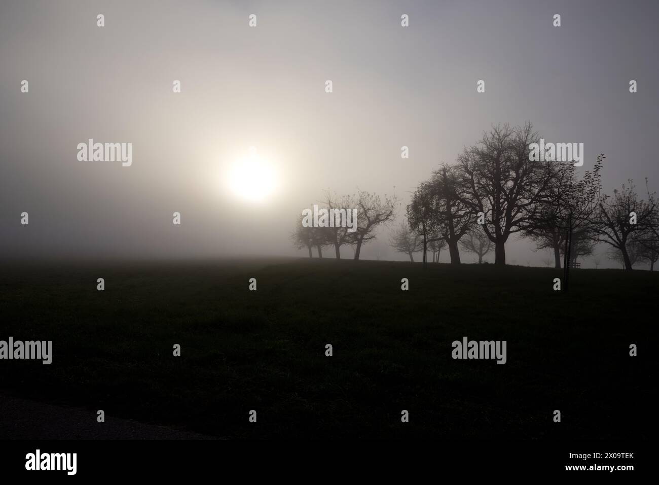 Nature fog environment hi-res stock photography and images - Alamy