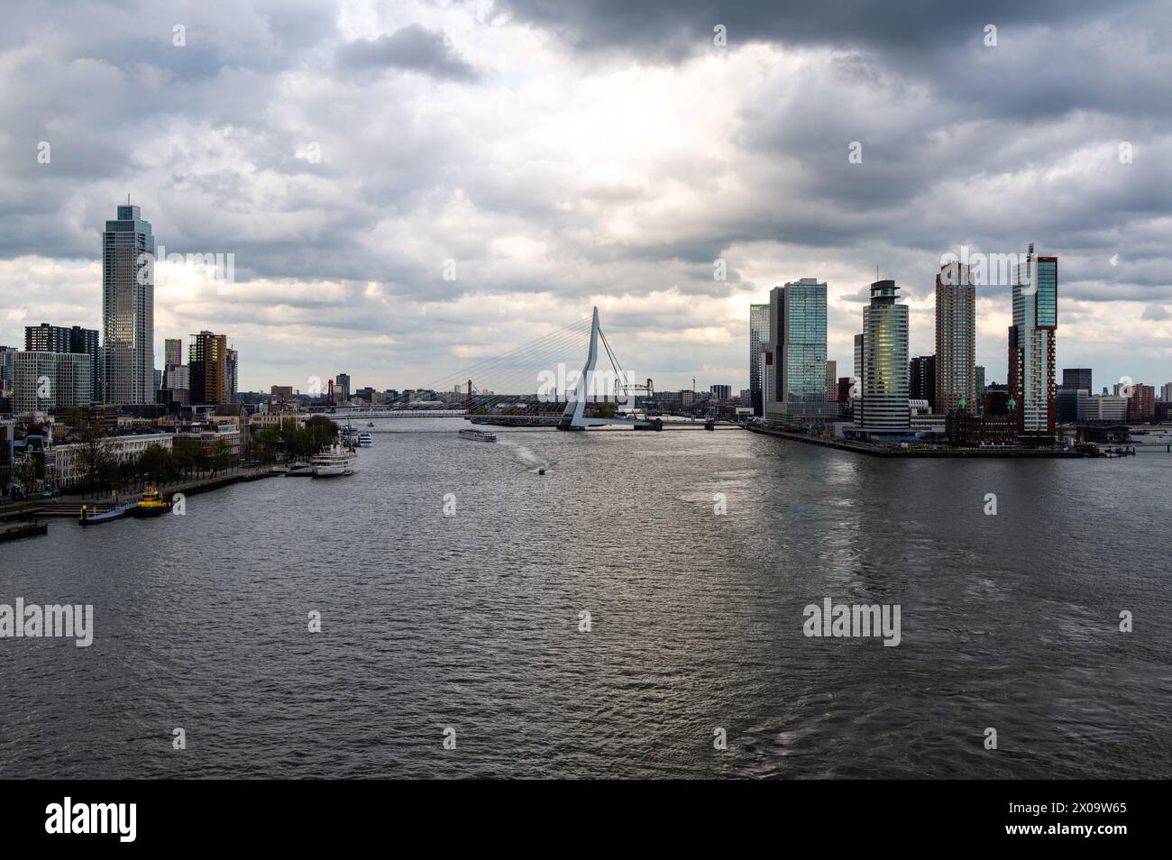 City centre of Rotterdam, view from the Erasmus Bridge on Nieuwe Maas ...