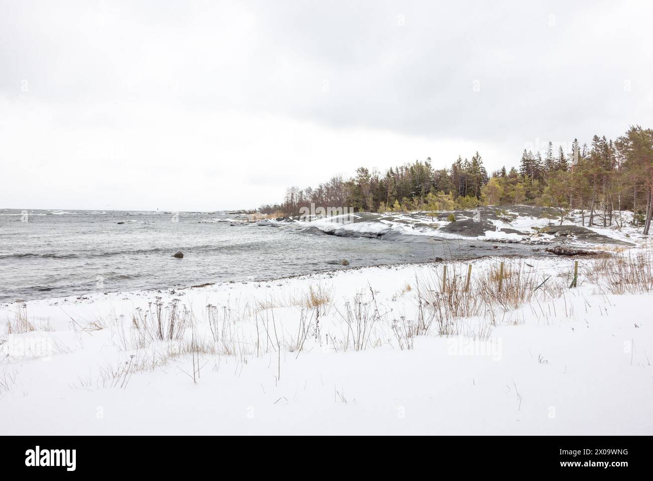 Swedish landscape with trees, forest, shore, water, beach, see in ...