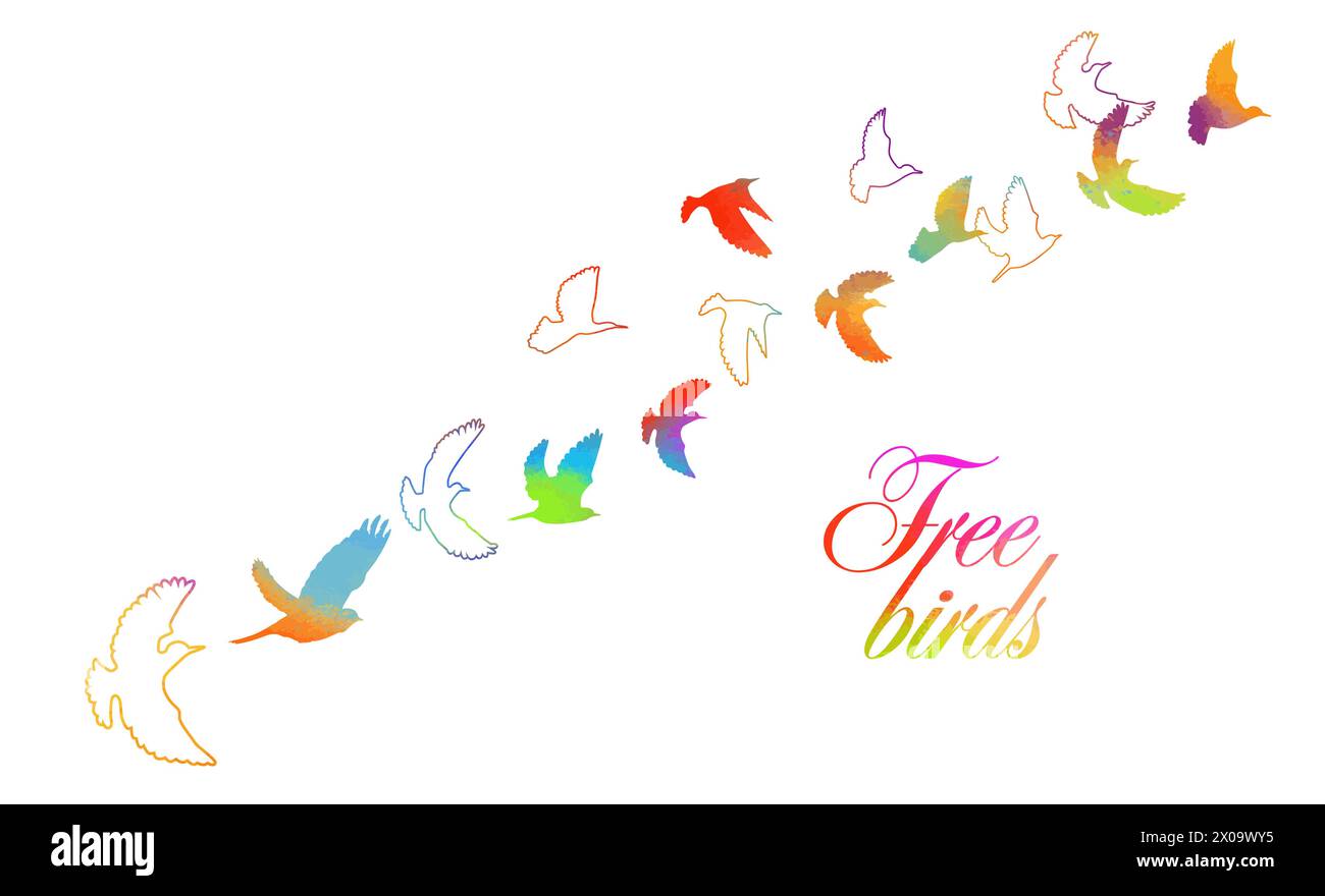 Colored birds. A flock of flying rainbow birds. Not AI, Vector ...