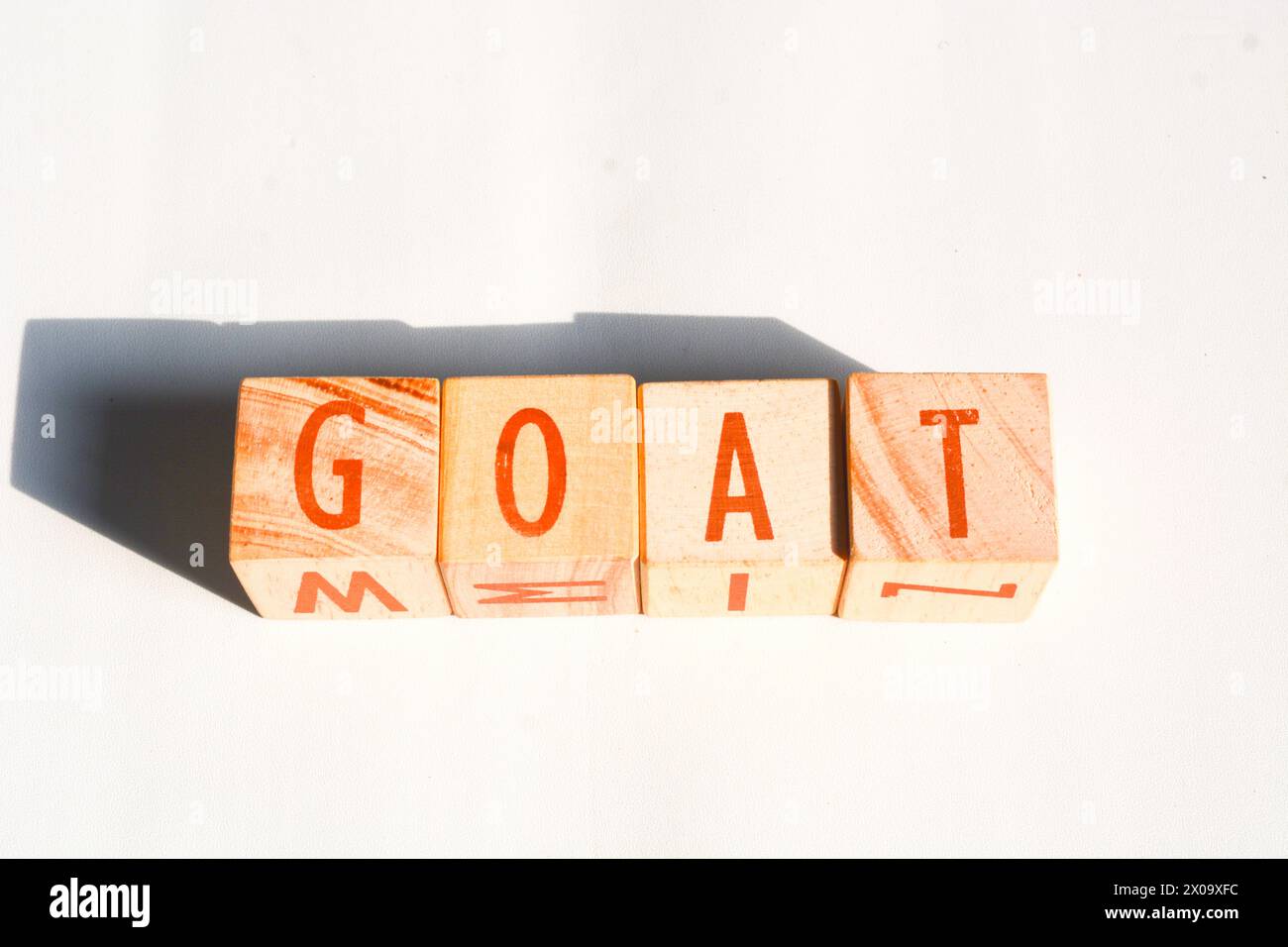 Wooden alphabet blocks isolated on white with sentence "GOAT Stock ...