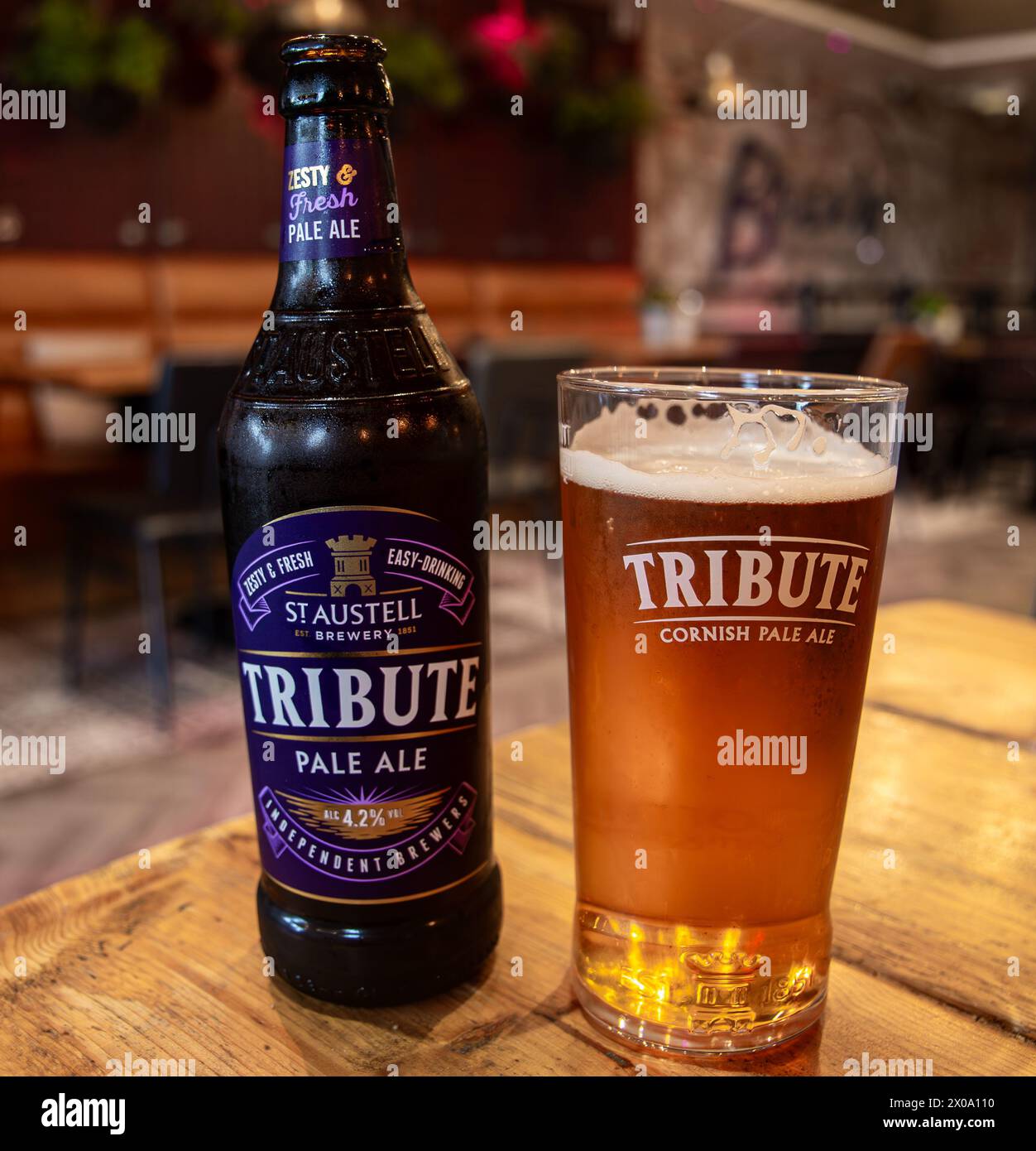 A pint glass with Tribute Cornish pale ale with the empty bottle by the ...