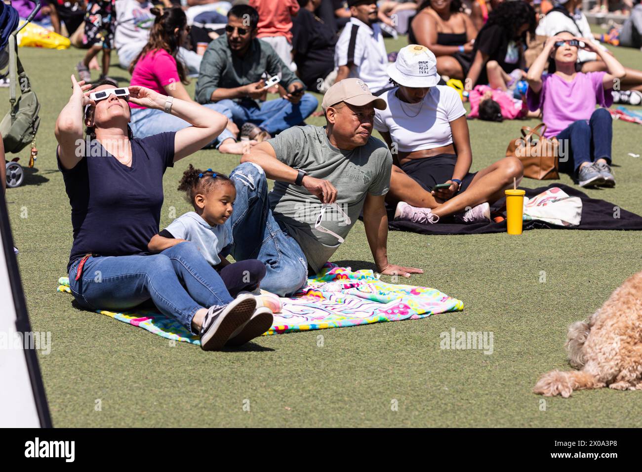Atlanta, GA / USA - April 8, 2024: People wear special glasses to watch ...