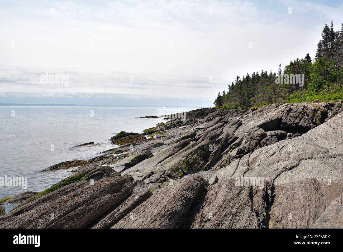 St-Lawrence river shore line on cloudy day. Exposed rocks and tree line ...