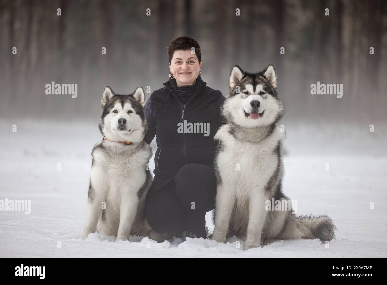 Happy Young Girl and Two Malamute Dogs in Snowy Hazy Mist Foggy Backgroud Stock Photo - Alamy