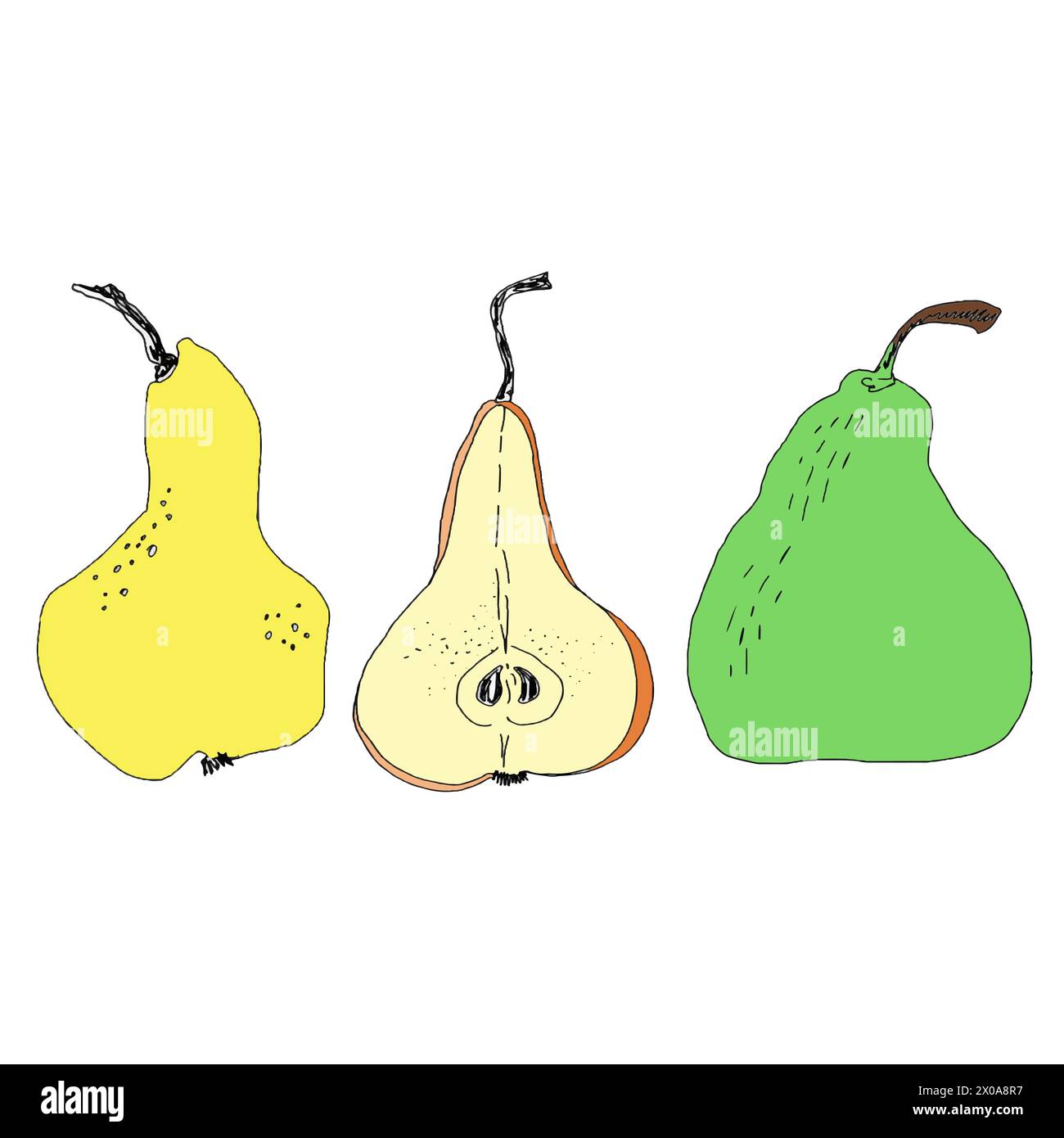 Set of differen pears hand drawn outline. The black line on a white ...