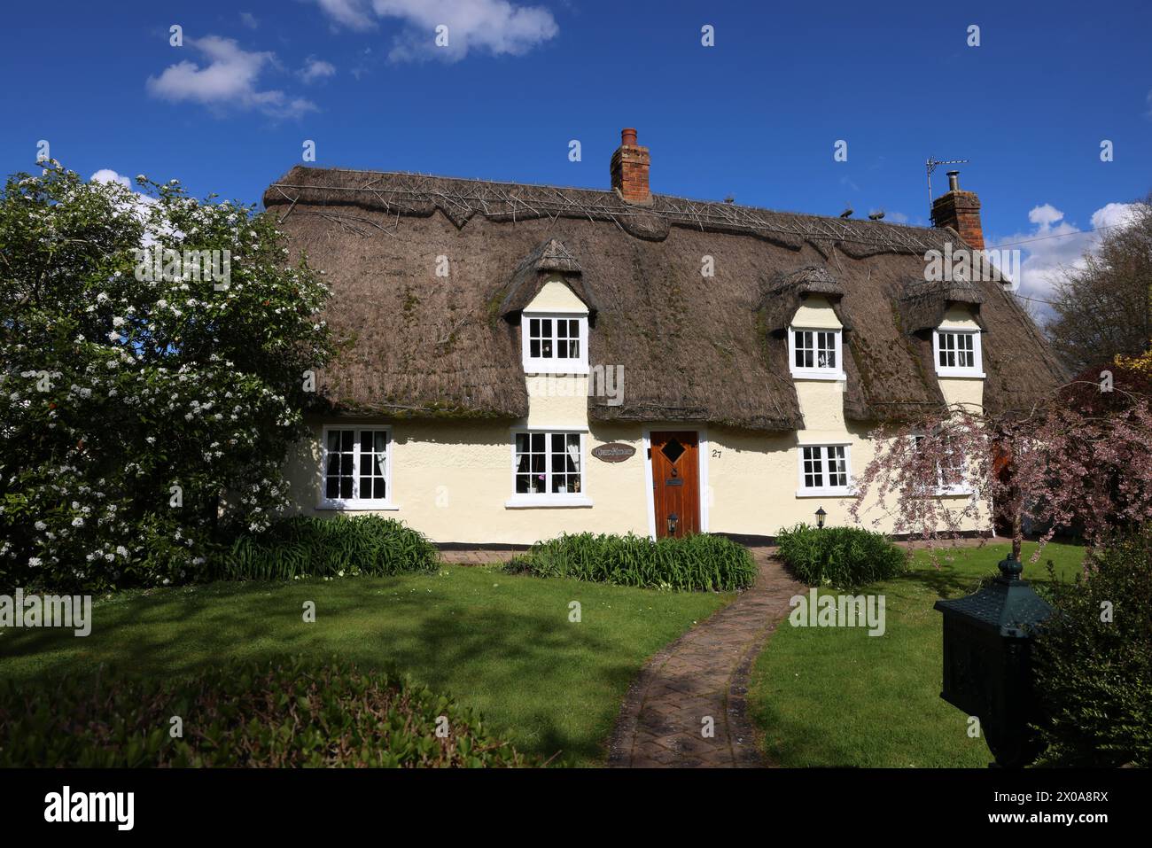 Thatched Cottage Bedfordshire Stock Photo - Alamy