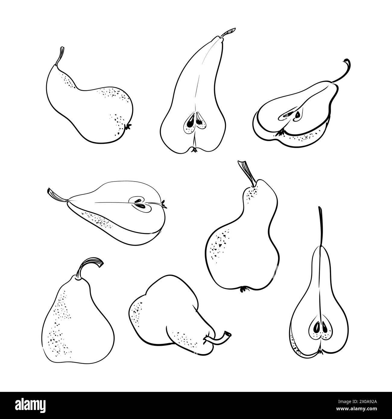 Set of differen pears hand drawn outline. The black line on a white ...