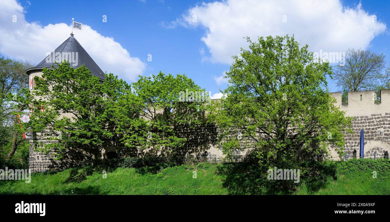 preserved part of the medieval city wall of cologne with tower and ...