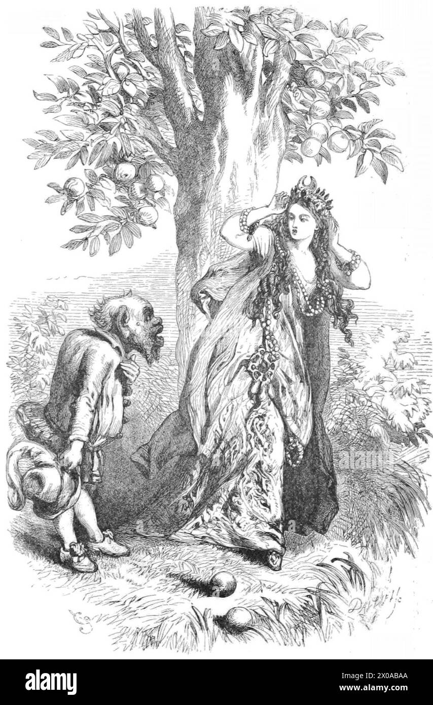 Dwarf yellow Black and White Stock Photos & Images - Alamy