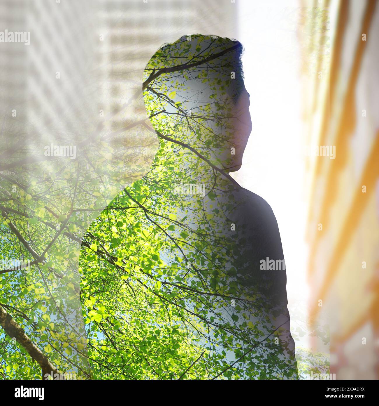 Professional tree care company hi-res stock photography and images - Alamy