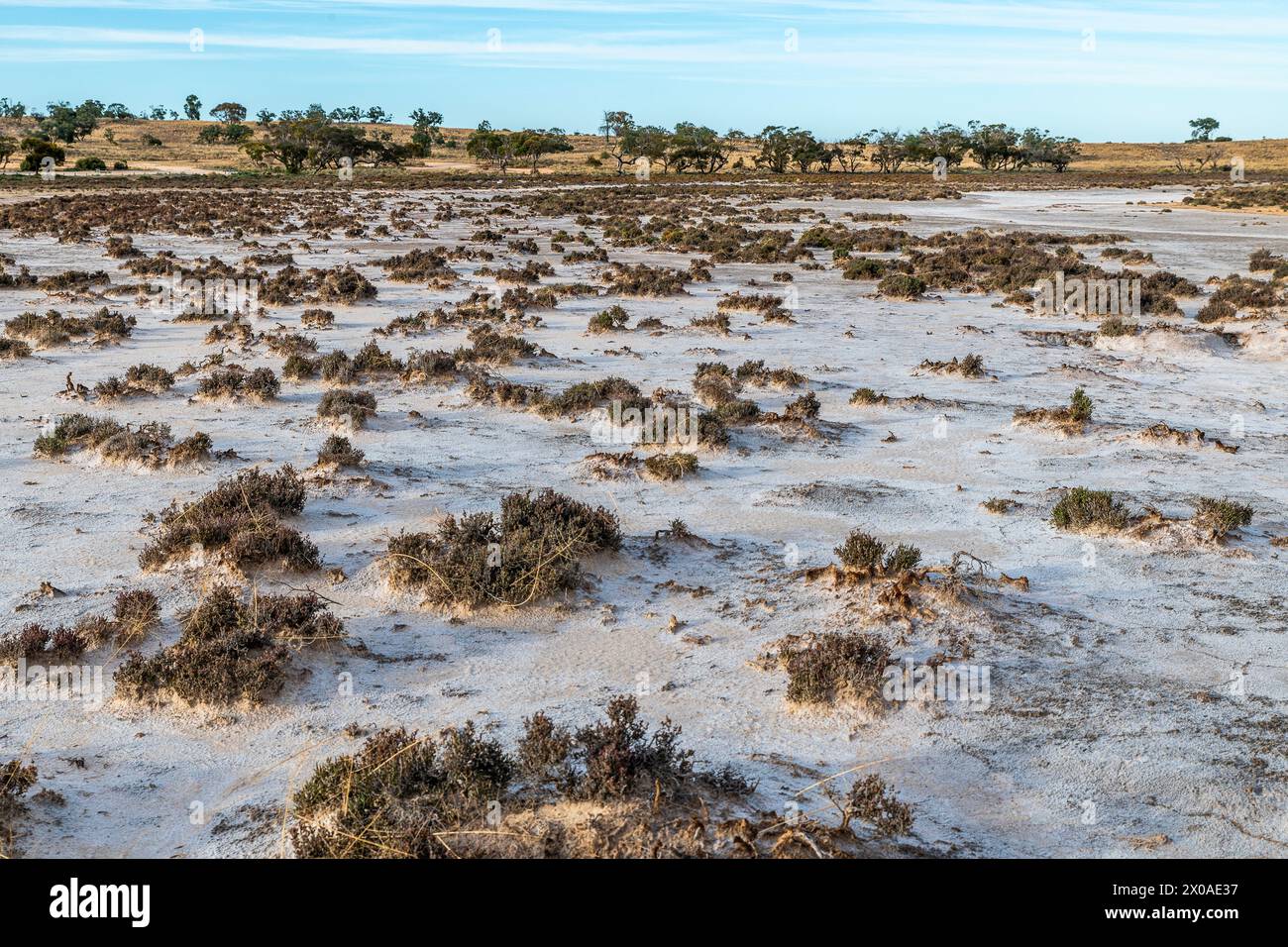 Lake Crosbie in Murray-Sunset National Park Stock Photo - Alamy