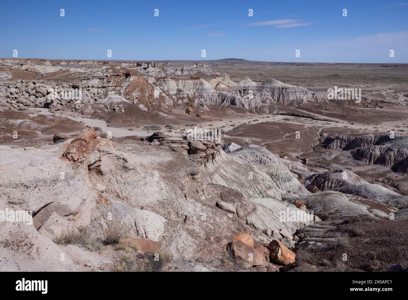 Badlands at Blue Mesa, Petrified Forest National Park, Arizona Stock ...