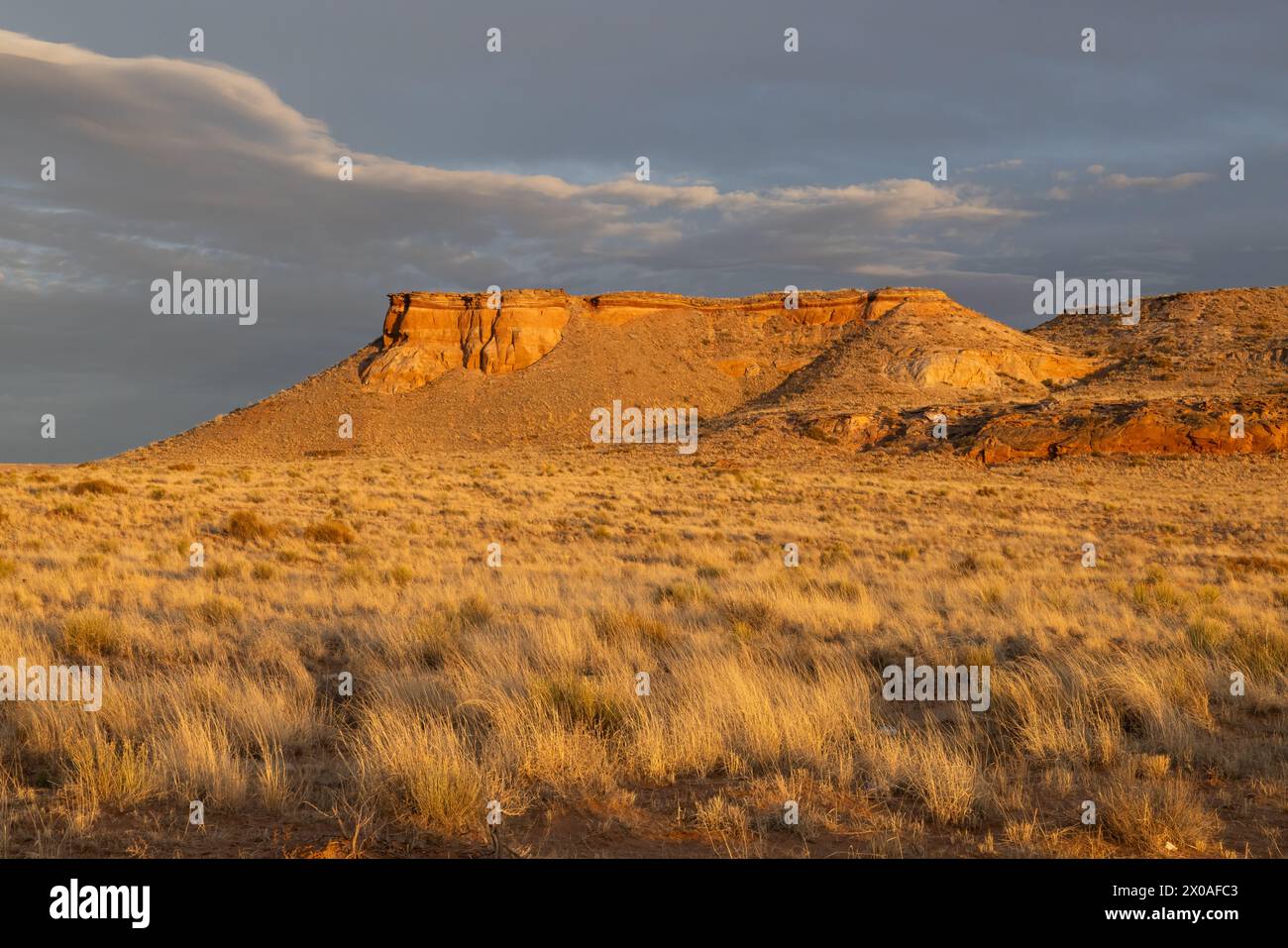 Late afternoon light on the grasses and rock formations, Hopi ...