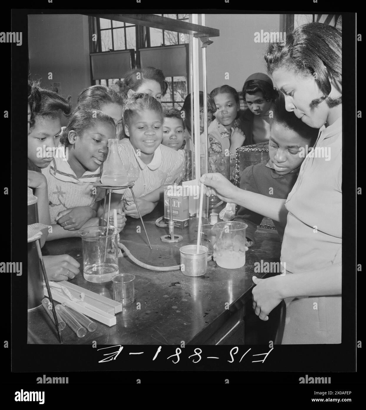 Segregated collection hi-res stock photography and images - Alamy