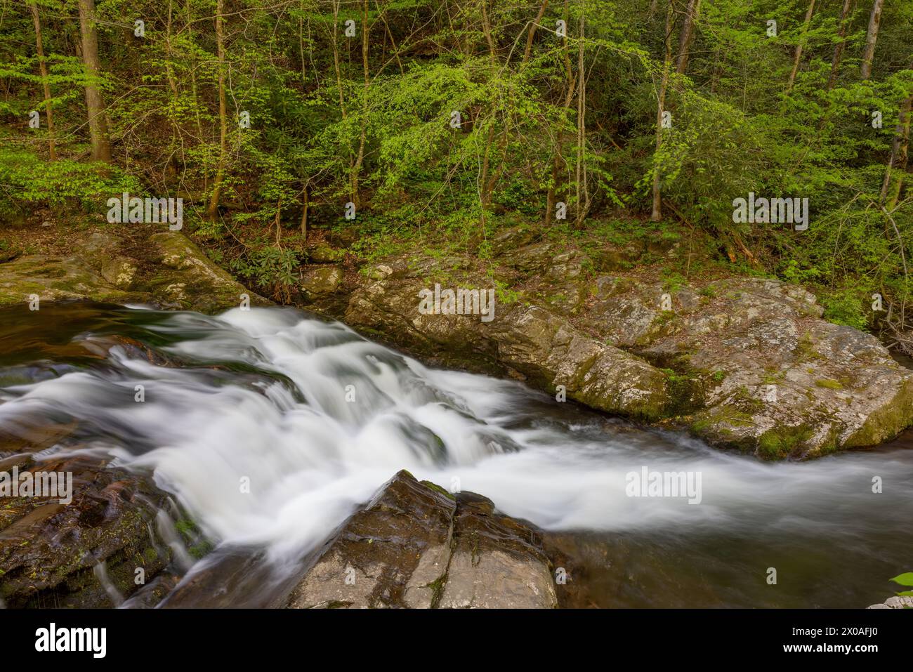 West Prong Little River along Laurel Creek Road, Great Smoky Mountains ...