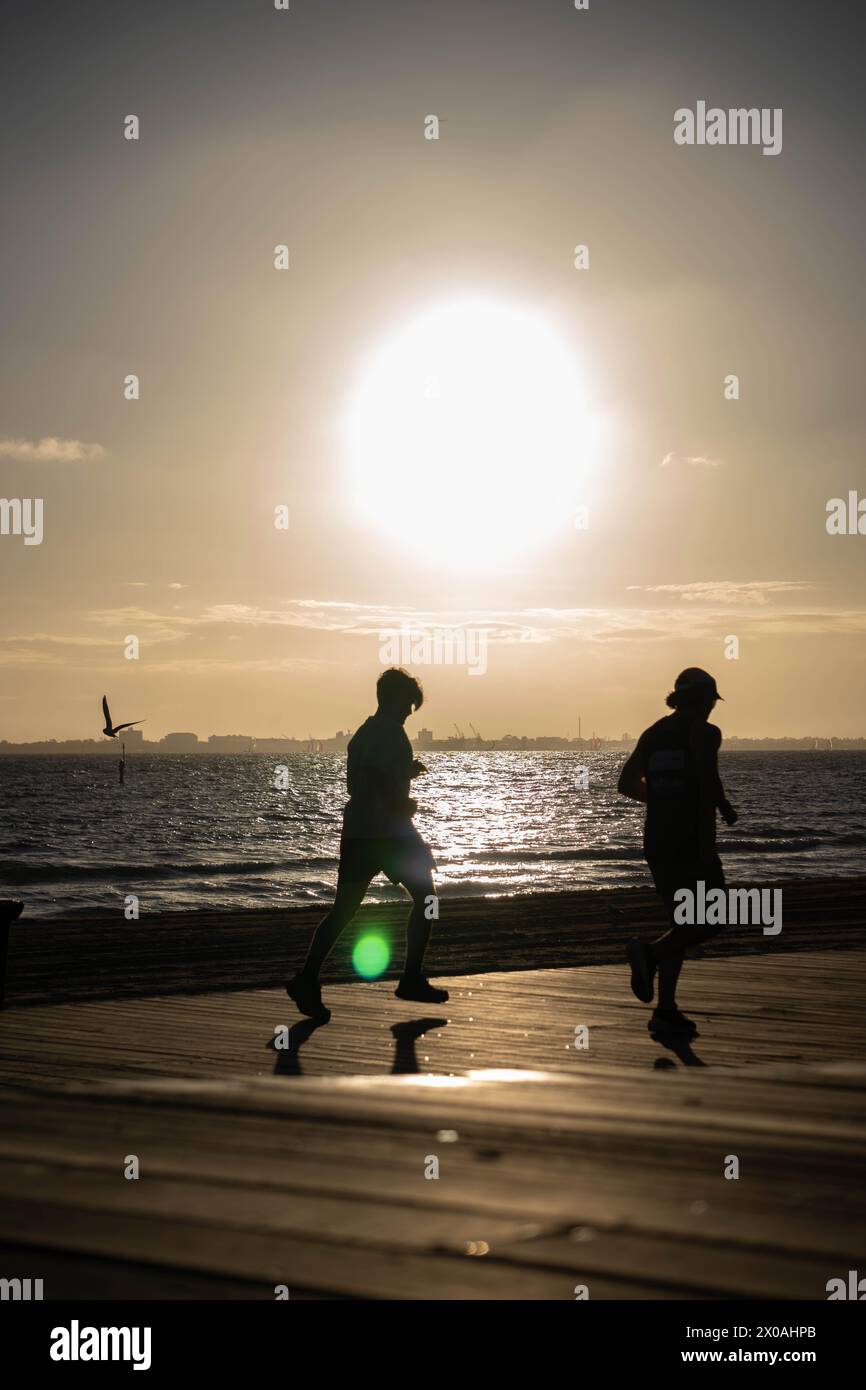 Sunset hunting at st kilda beach Stock Photo - Alamy