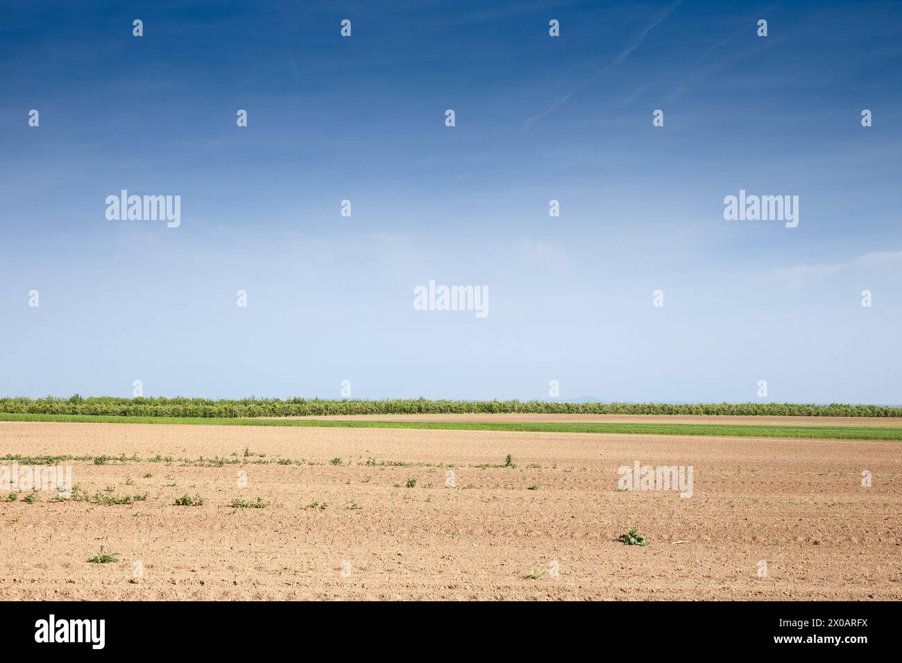 In the heart of Vojvodina, Serbia, this vast agricultural field under ...