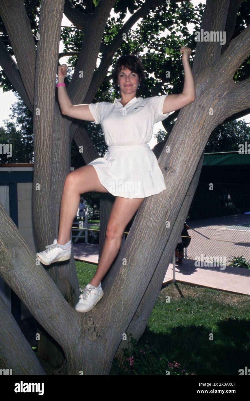 Kate Linder 1992 Credit: Ralph Dominguez/MediaPunch Stock Photo - Alamy