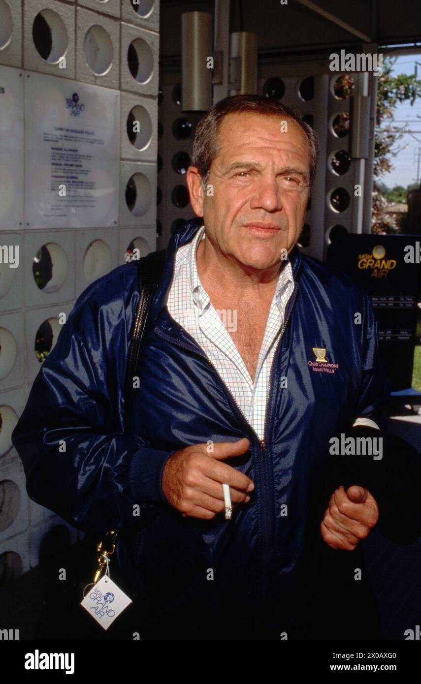 Alan King Circa 1980's Credit: Ralph Dominguez/MediaPunch Stock Photo ...