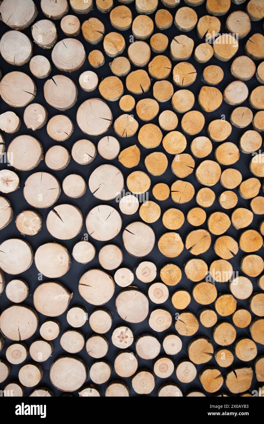 Round cuttings of tree trunks background . Soft focus Stock Photo - Alamy