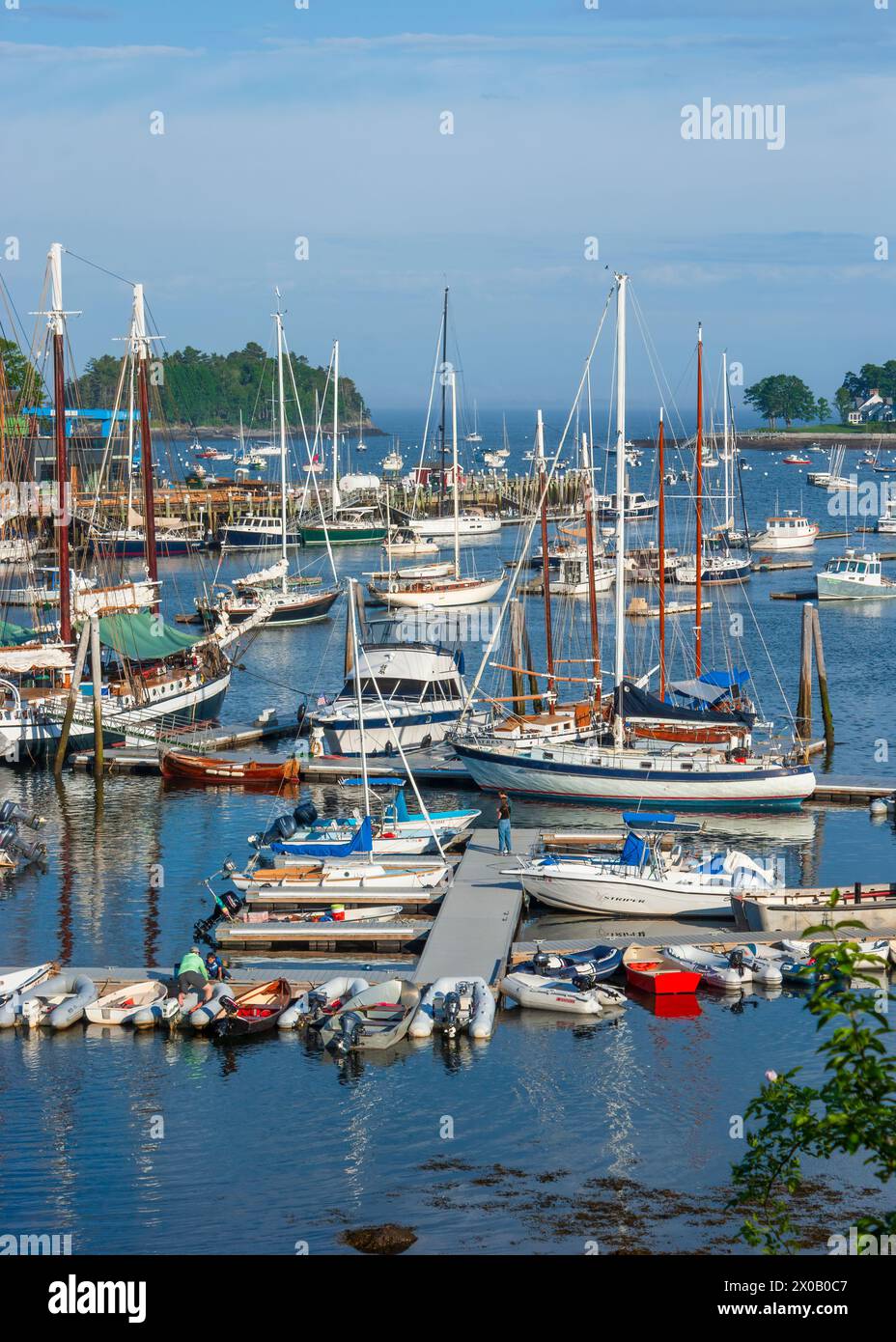 A vibrant scene of dinghy boats, yachts and sailboats docked at Camden ...