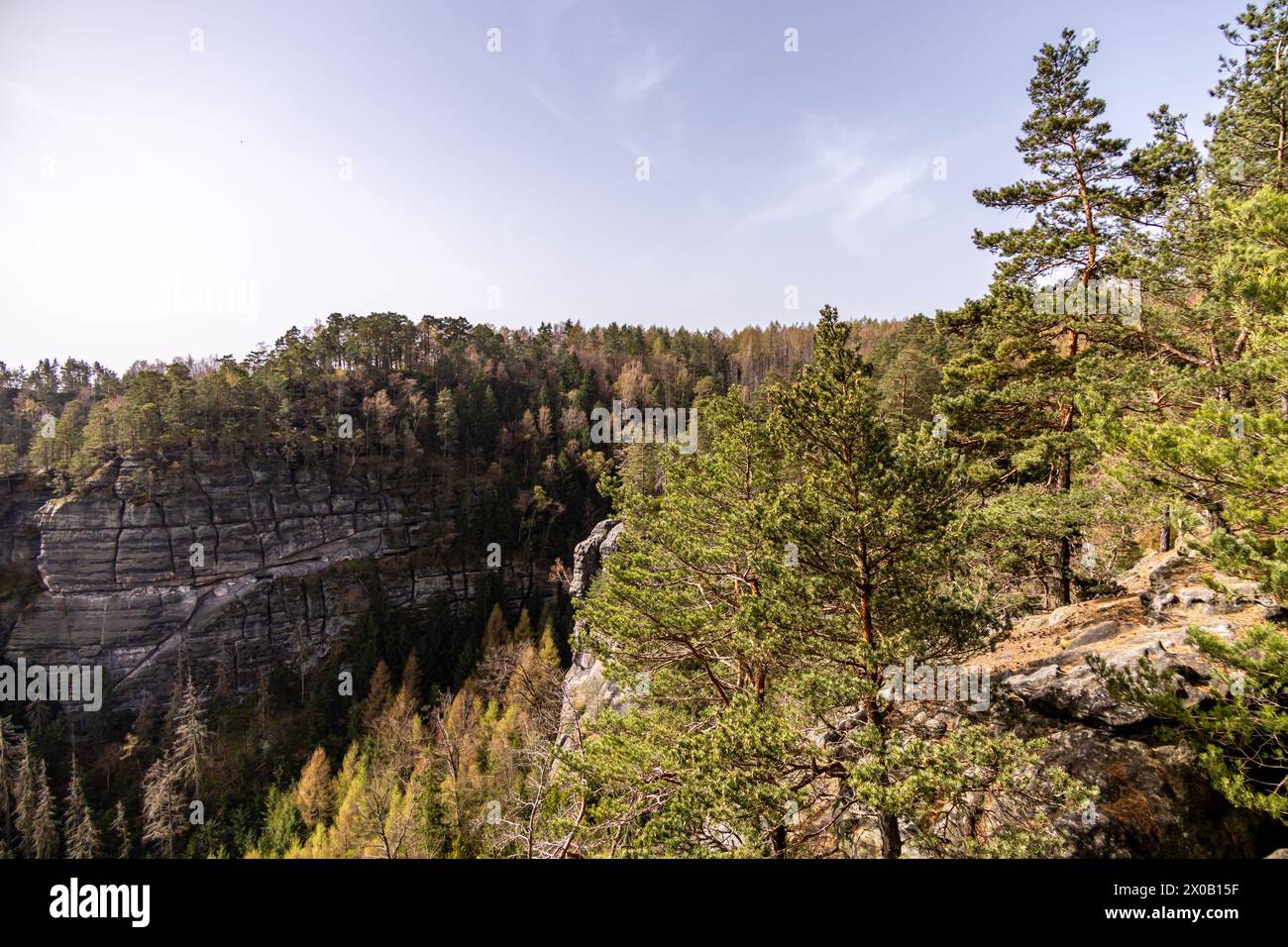 A springtime hiking tour via the Hirschmühle to the Carola Rock in ...