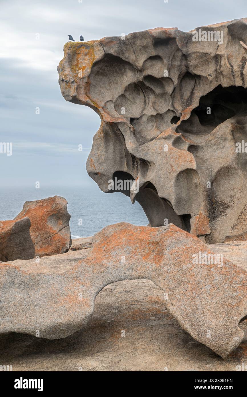 Remarkable Rocks in Flinders Chase National Park, Kangaroo Island Stock ...