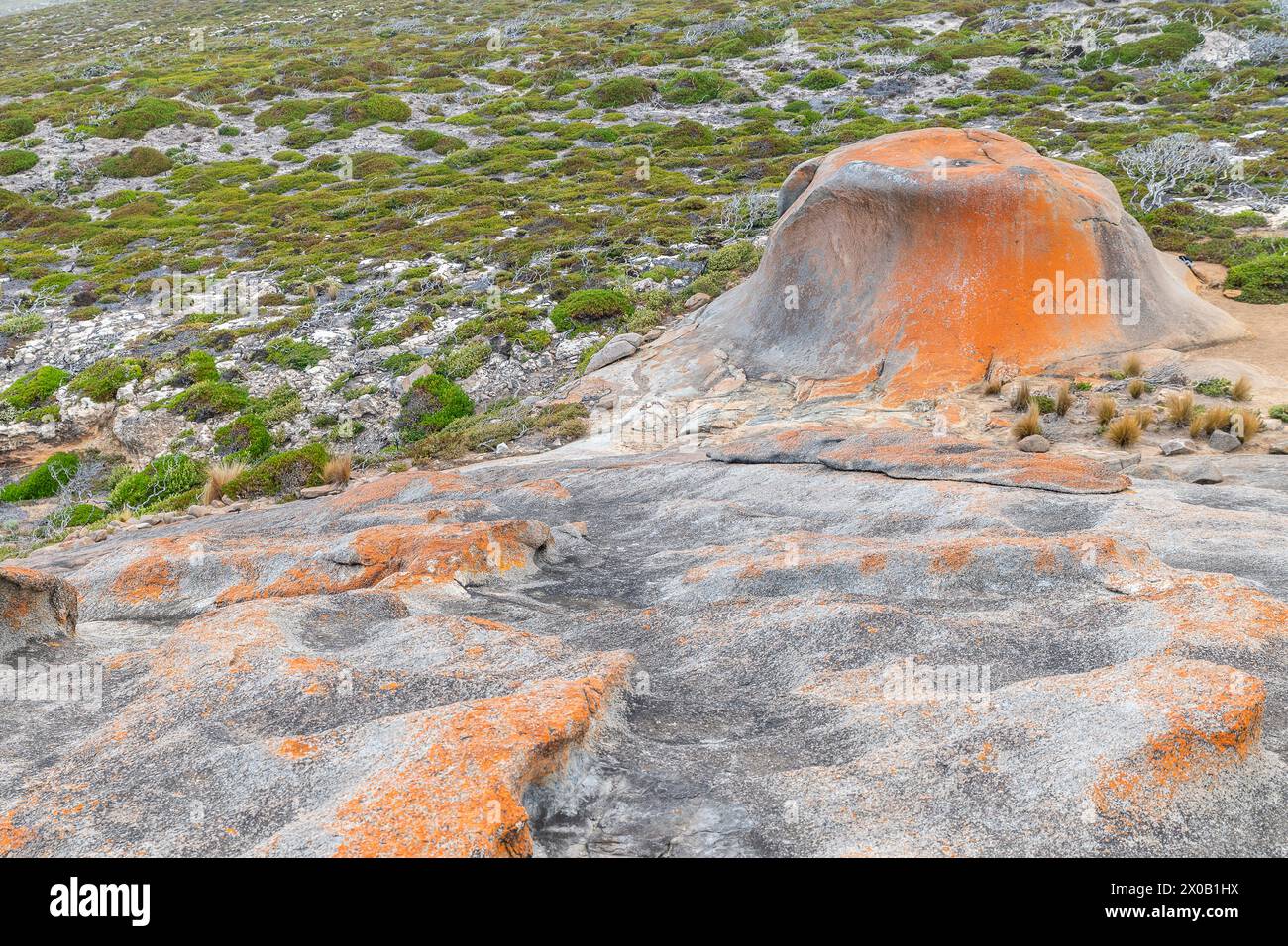 Remarkable Rocks in Flinders Chase National Park, Kangaroo Island Stock ...