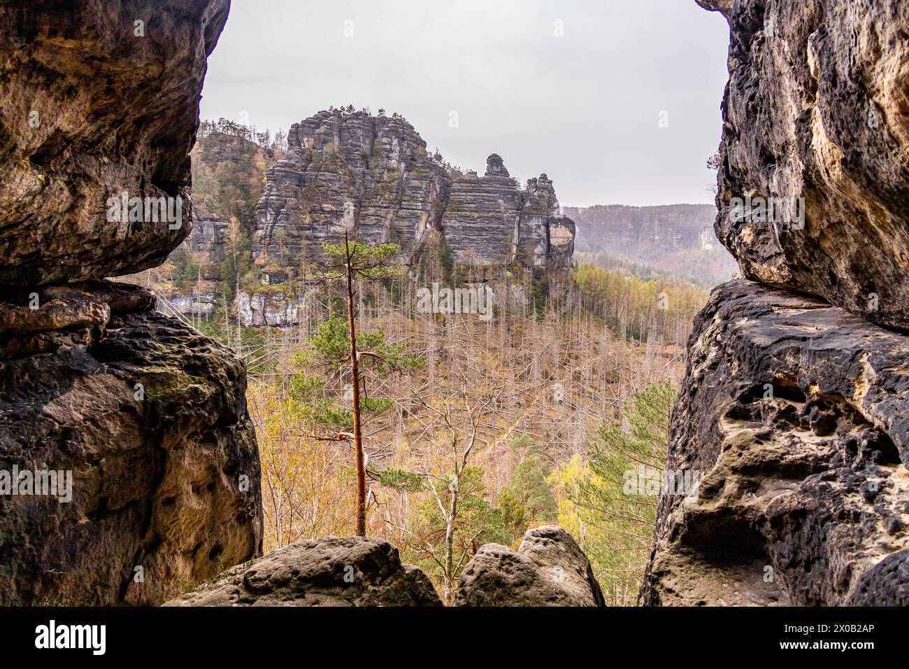 A springtime hiking tour via the Hirschmühle to the Carola Rock in ...