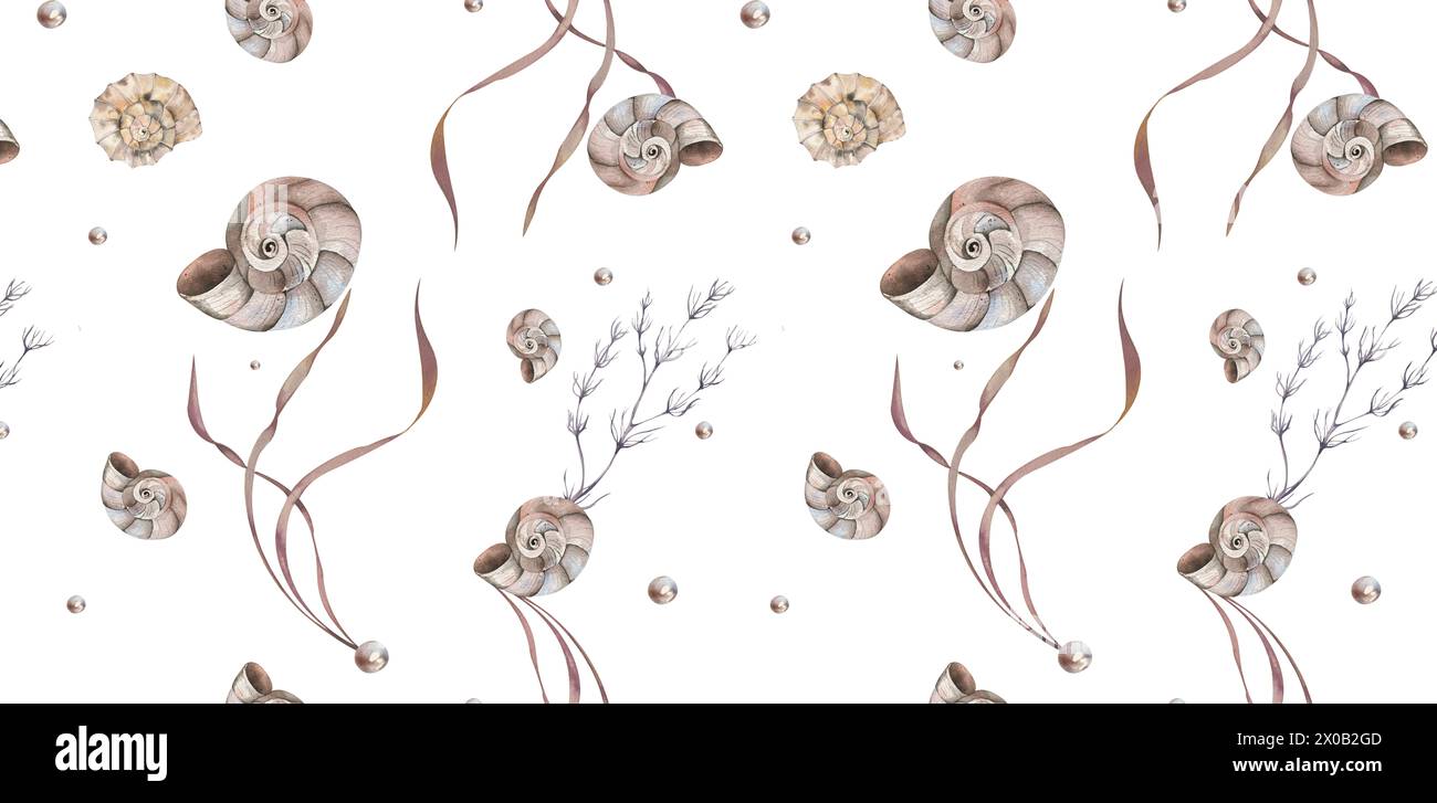Seamless Pattern. Seashell, Seaweed, Pearl. watercolor illustration ...