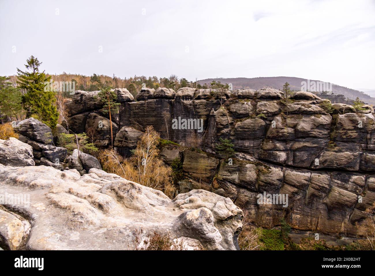 A springtime hiking tour via the Hirschmühle to the Carola Rock in ...