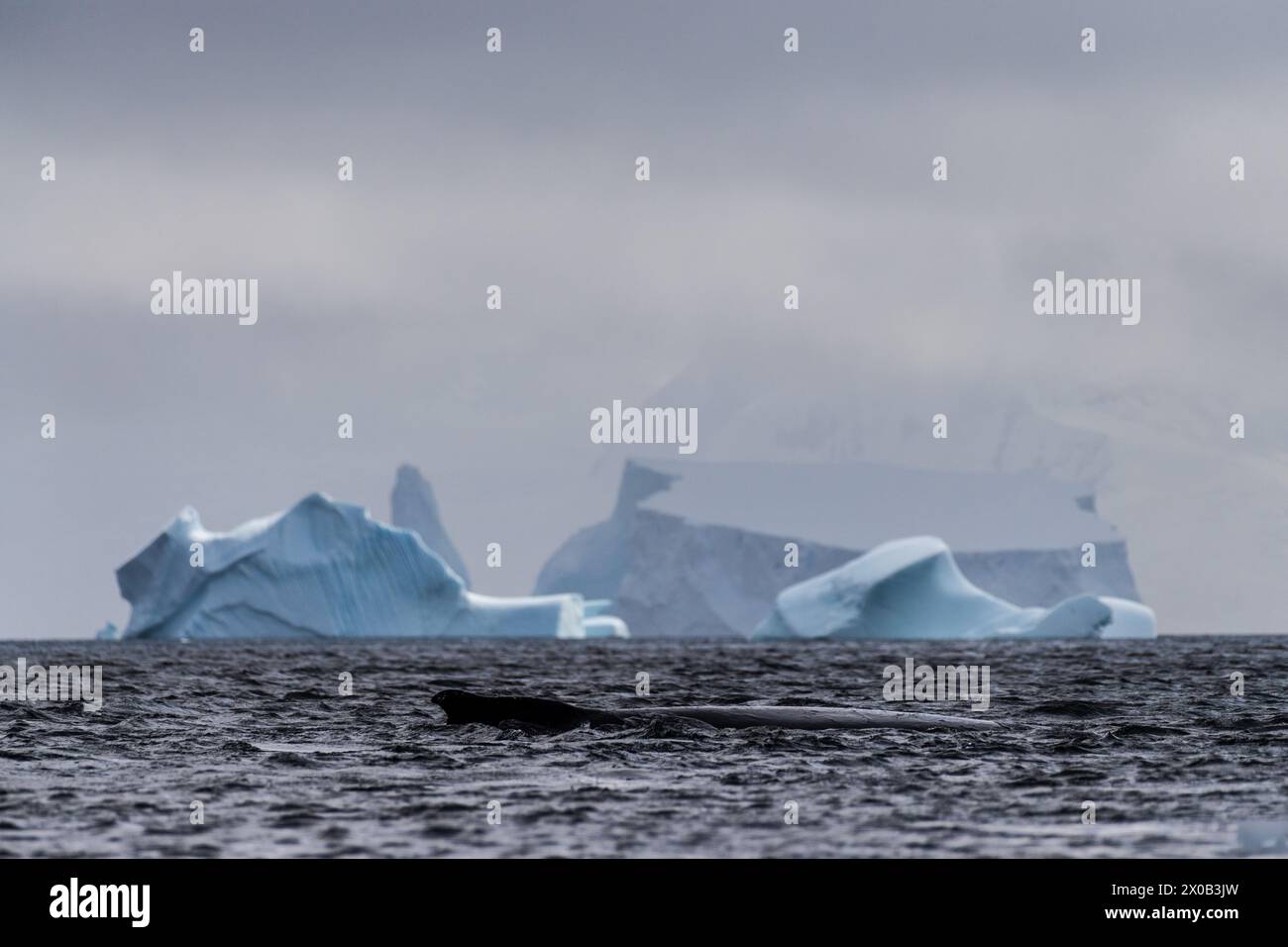 Charlotte graham photography hi-res stock photography and images - Alamy