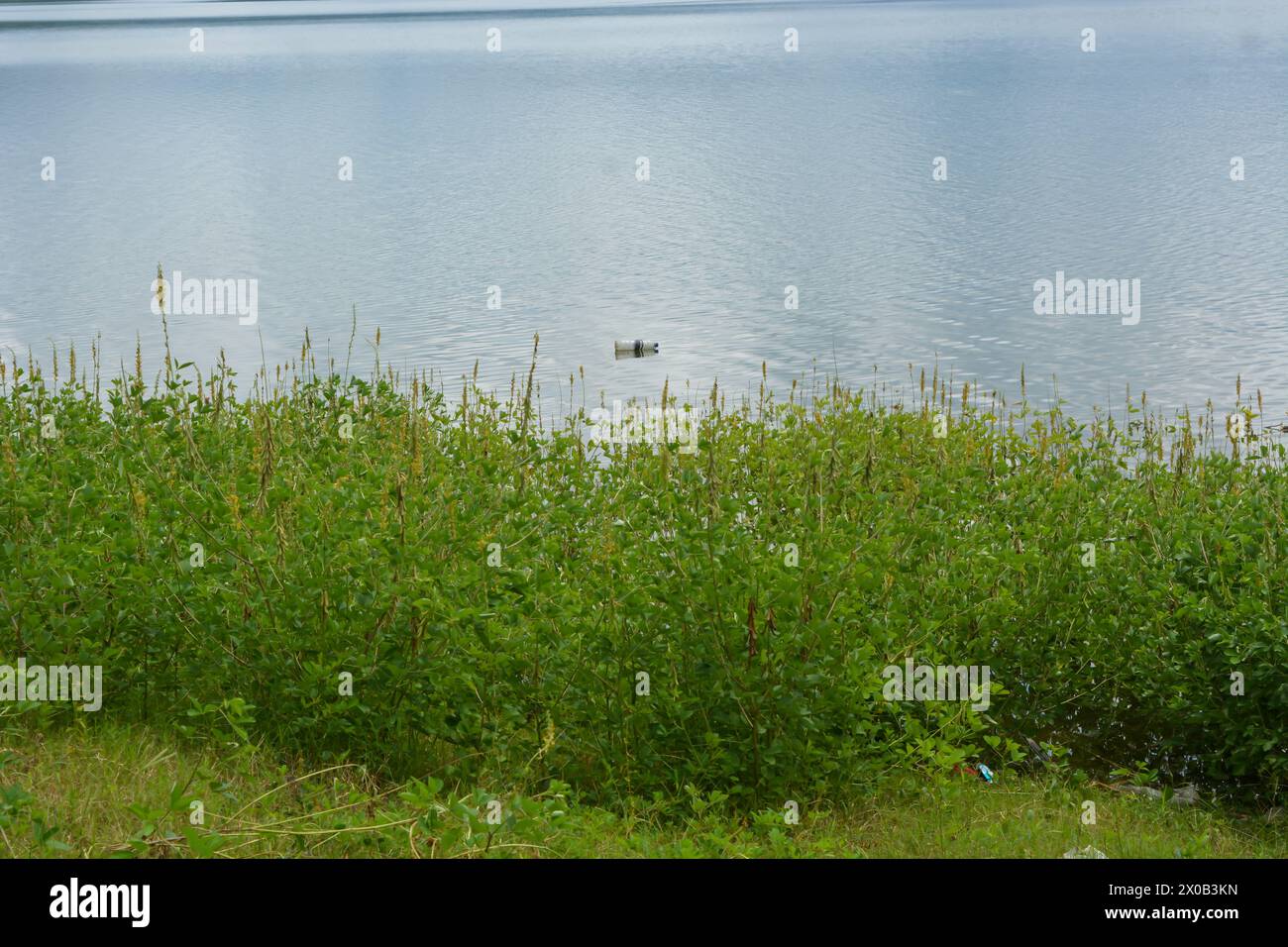 The Wadaslintang Reservoir Dam in Wonosobo, Indonesia Stock Photo - Alamy