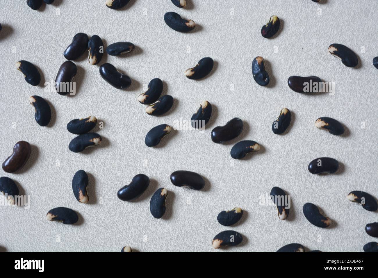 Black bean seeds on a white background Stock Photo - Alamy
