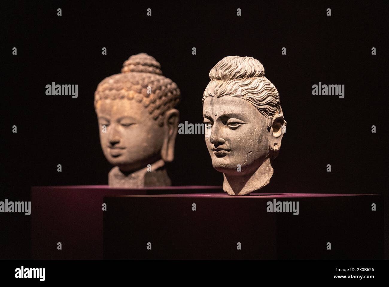 The Freer Gallery of Art, National Museum of Asian Art in Washington D ...