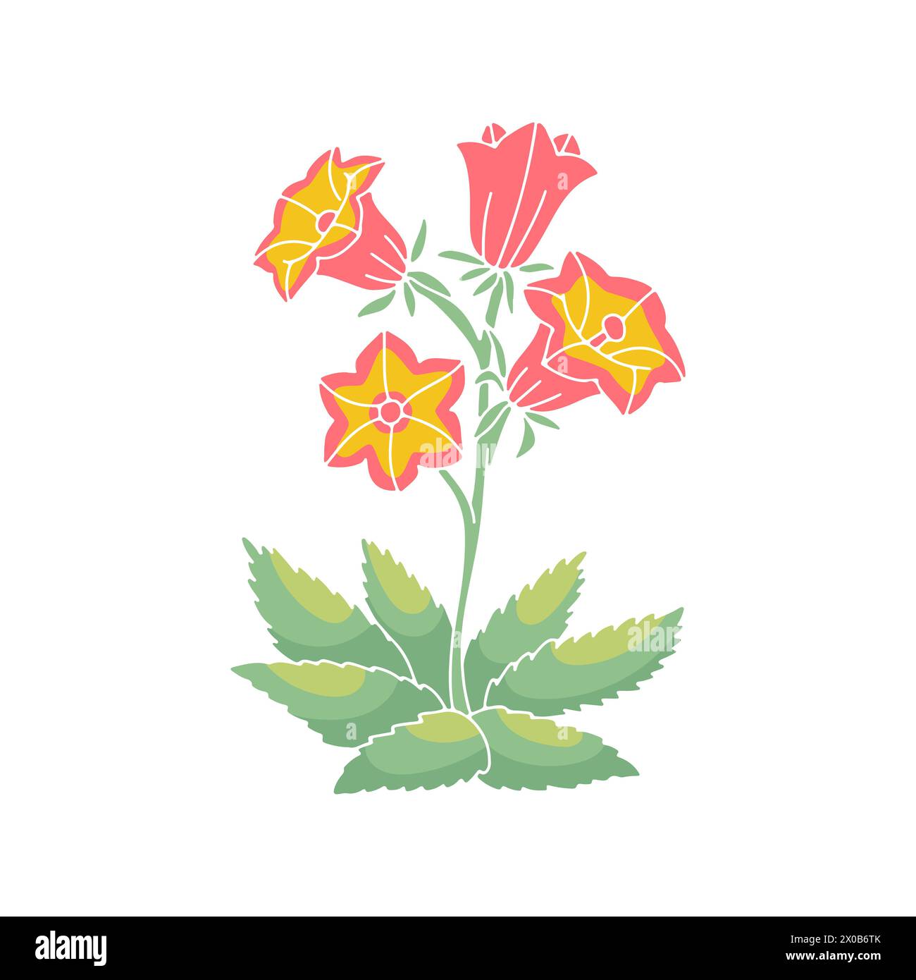 Canary islands pink stylized bellflower flower motif Stock Vector Image ...