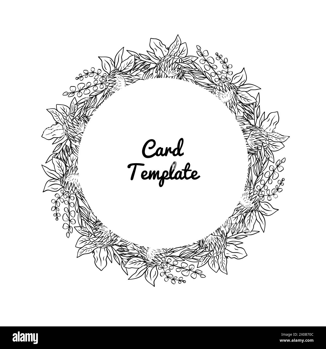 Hand drawn monochrome line art tropical protea flower round frame Stock ...