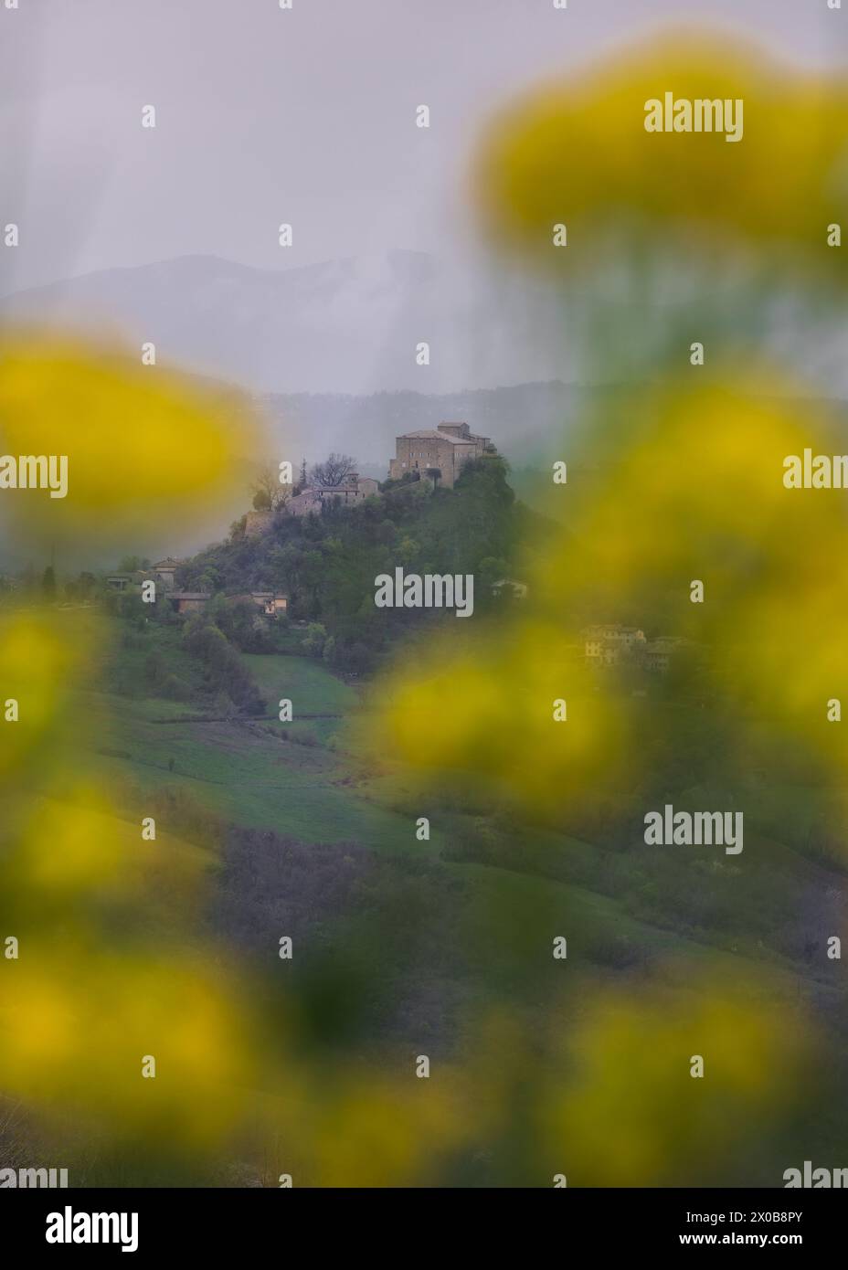 Punto giallo hi-res stock photography and images - Alamy