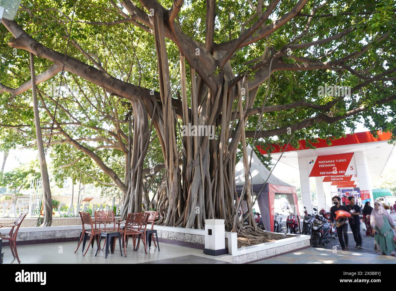 Pertamina hi-res stock photography and images - Alamy