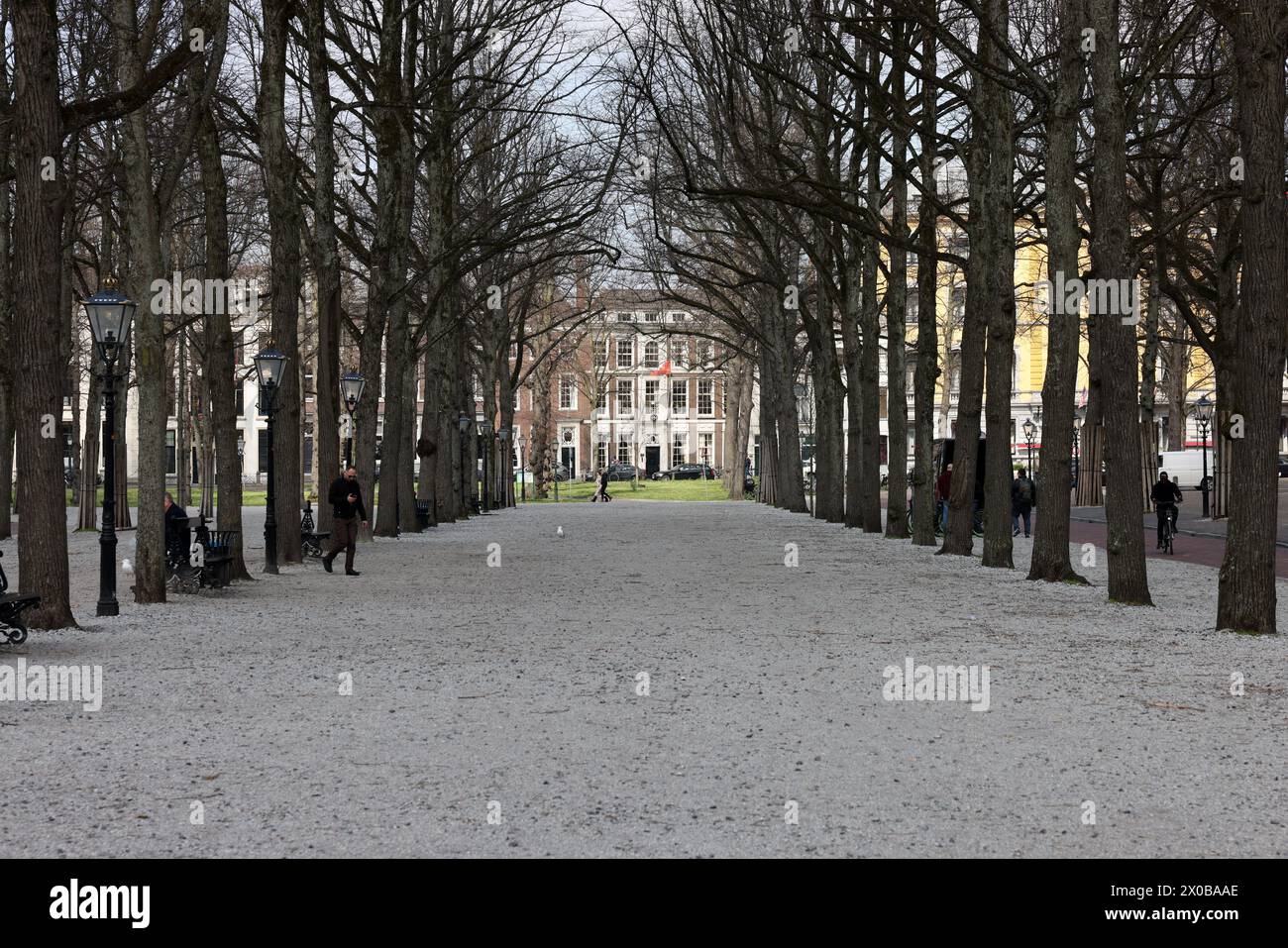 The Hague, Netherlands - April 17, 2023: Walking alley with beautiful ...