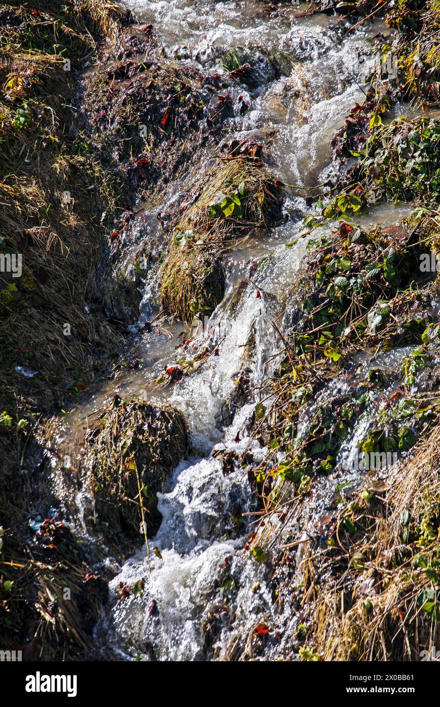 spring mountain stream on a slope on a sunny day. Earth Day Stock Photo ...