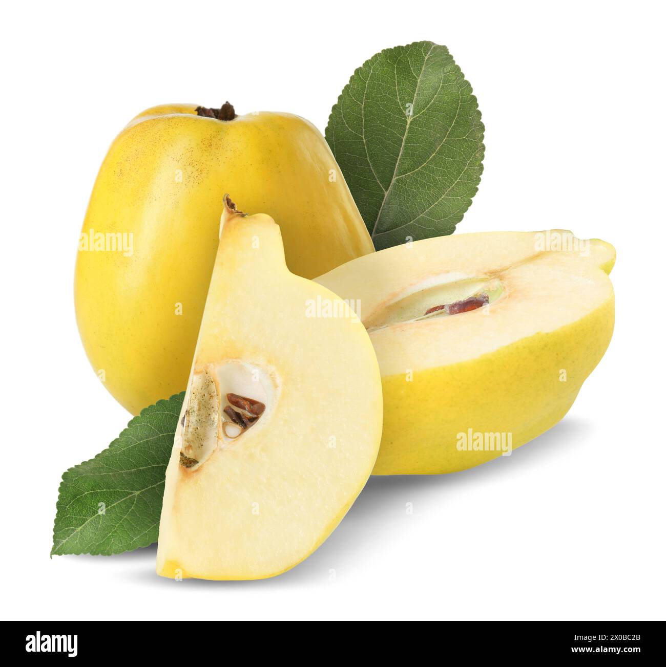Delicious fresh ripe quinces with leaves isolated on white Stock Photo ...